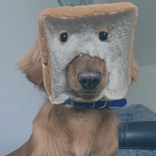Pure Bread Dog on allRGB